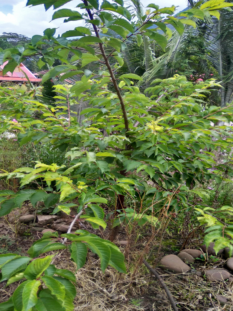 Scan 02 Ene. 25 14 39 21 | PDF