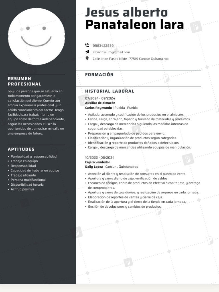 CV Jesus Alberto Pantaleon Lara 2 | PDF | Business