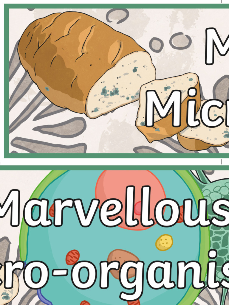 AU T2 S 134 Marvellous Microorganisms Display Banner Ver 1 | PDF