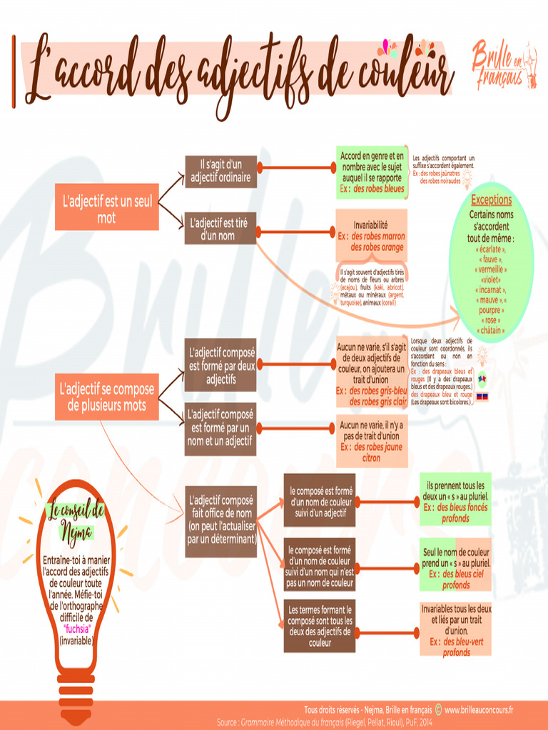 Carte Mentale - L-Accord Des Adjectifs de Couleur | PDF