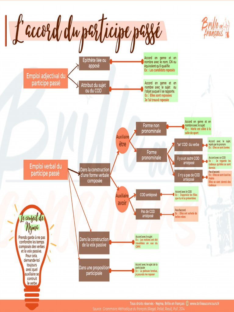 Carte Mentale - L-Accord Du Participe Passé | PDF