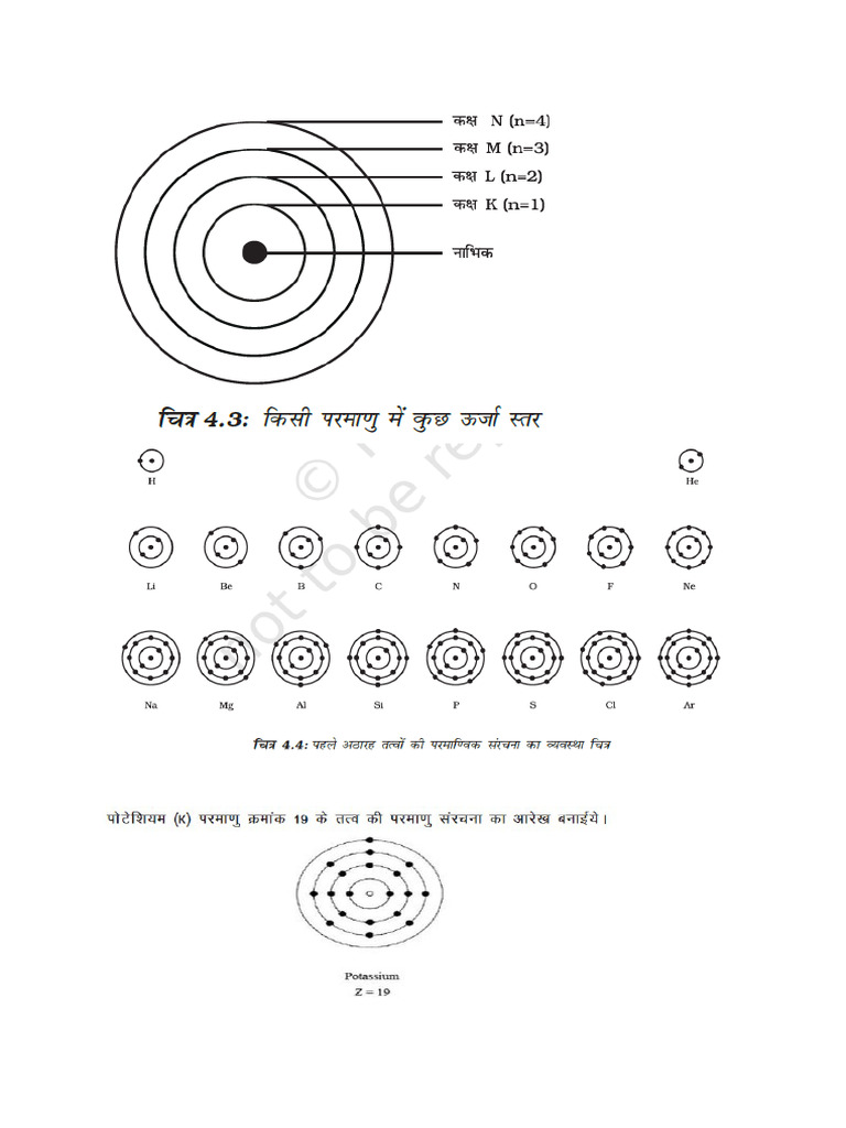 Important Diagram Class 9th 2024 | PDF