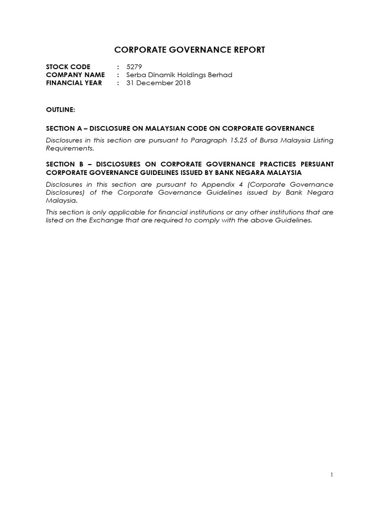 SDHB Corporate Governance Report 2018 | PDF | Internal Control | Audit