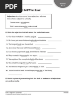 Adjective Story for Grade 3 | PDF
