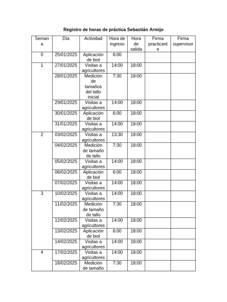 Registro de Horas de Práctica Sebastián Armijo | PDF