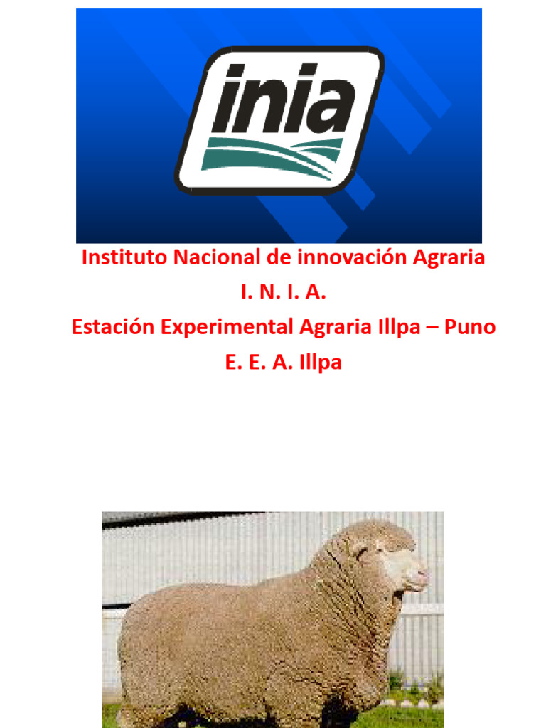 Present.. P. Calendario OVINOS | PDF | Oveja