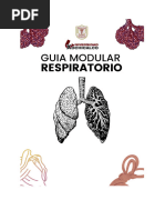 Nariz y Senos Paranasales | PDF | Nariz humana | Rinología