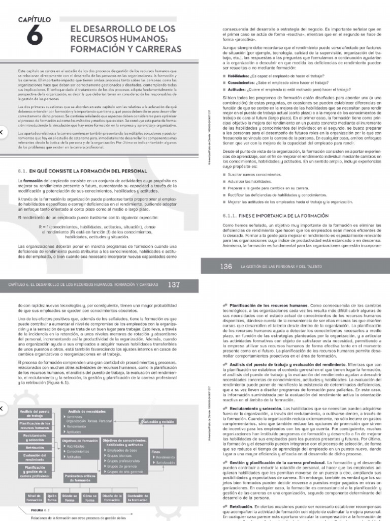 TEMAS MANUAL DIRECCION DE RRHH II | PDF
