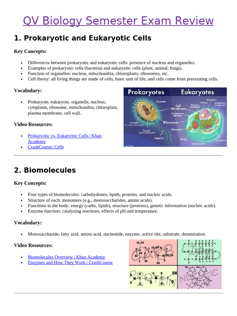 Fall Biology EOC Study Guide | PDF | Meiosis | Cell (Biology)
