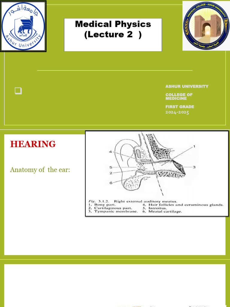 L4 hearing | PDF | Ear | Hearing