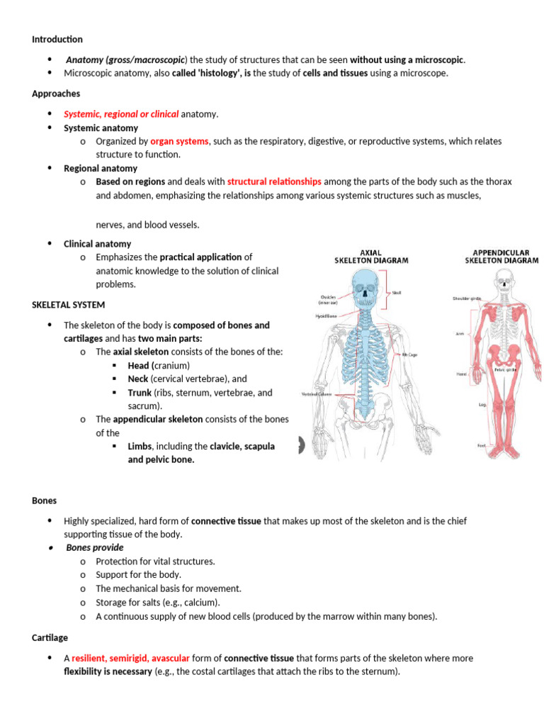 1. Introduction to the Skeletal System | PDF | Skeleton | Anatomy