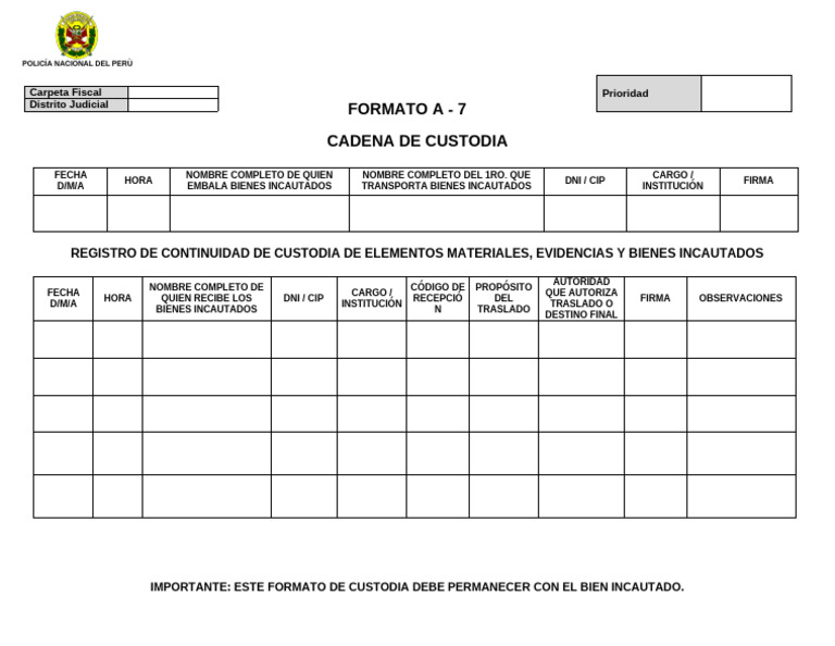Formato A7 Cadena de Custodia | PDF