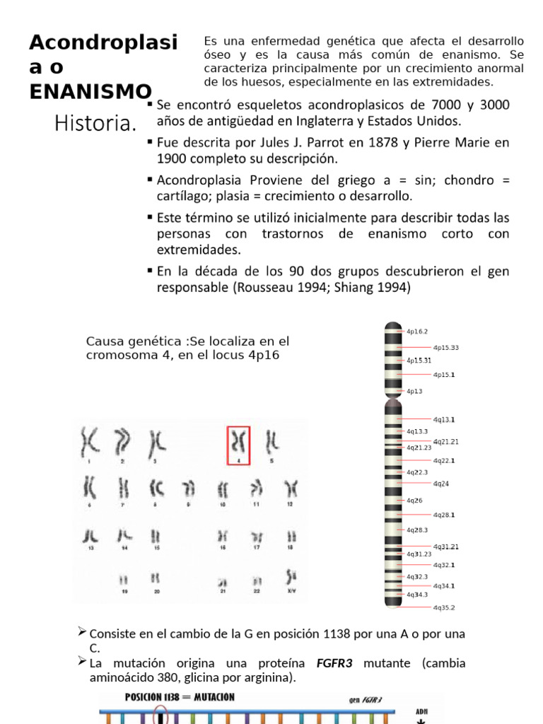 Acondroplasia y Síndromes Genéticos | PDF | Medicina CLINICA | Genética