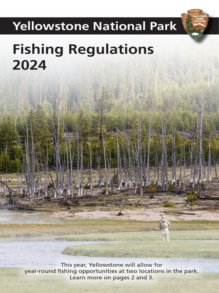 2024 Yellowstone Fishing Regulations | PDF | Rainbow Trout ...
