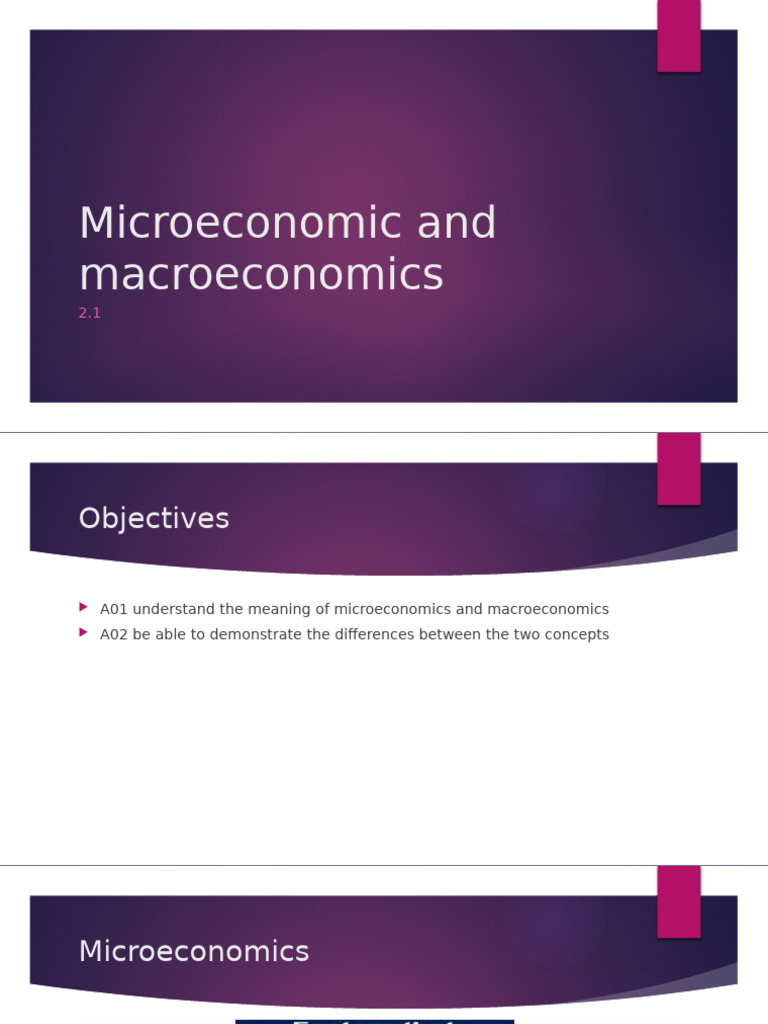 Micro vs Macro: Key Economic Concepts | PDF