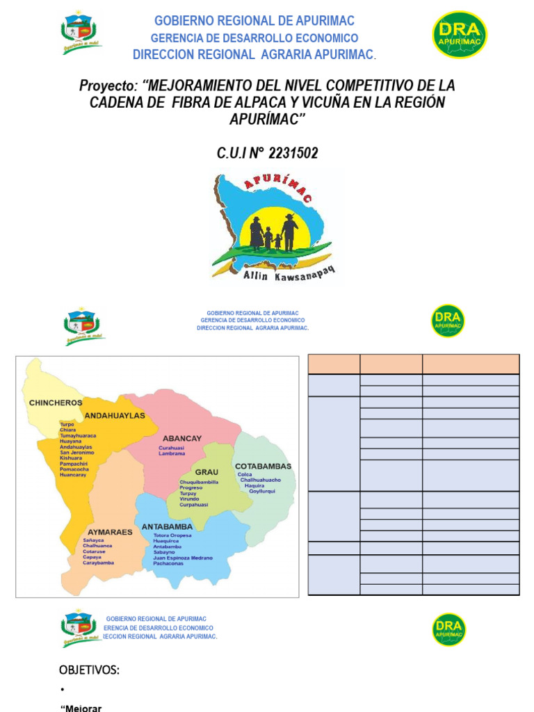 Exposicion Gore Apurimac-Uriel Flores | PDF