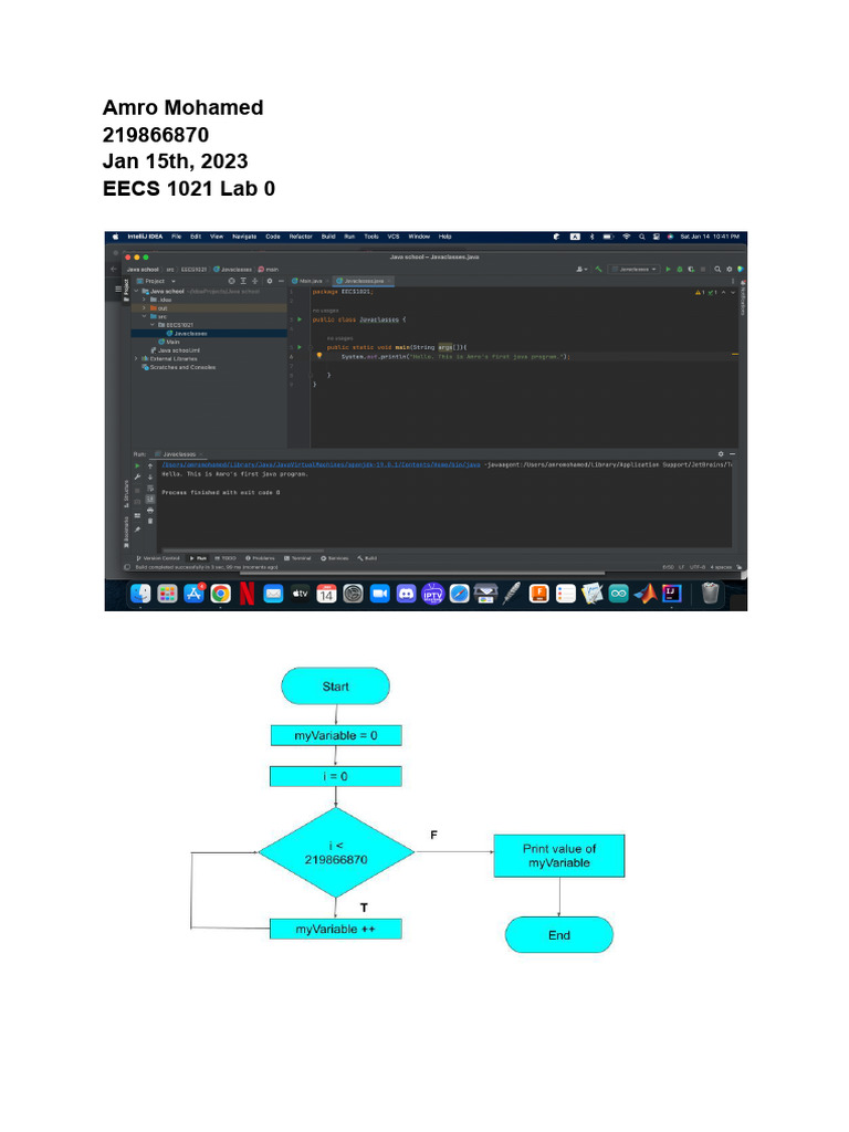 Amro Mohamed, EECS 1021 Lab0 | PDF