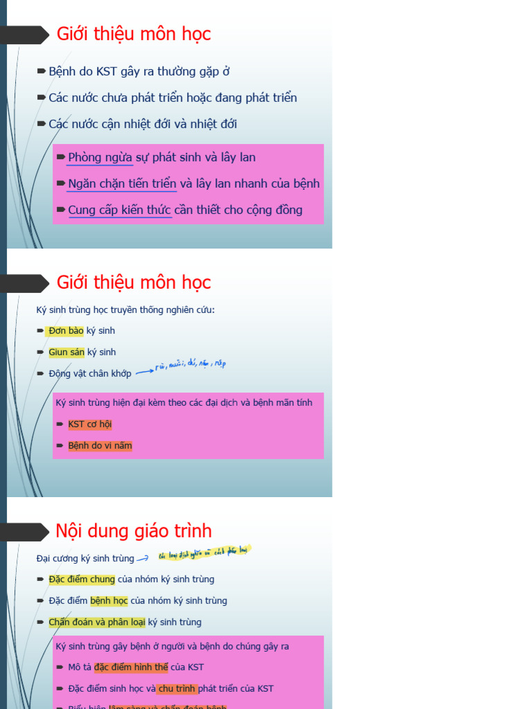 Đ I Cương KST 2024 - Compressed | PDF