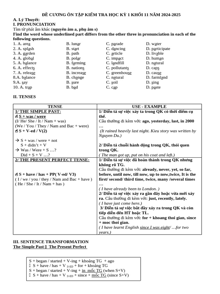 ĐỀ CƯƠNG ÔN TẬP KTRA CK1 KHỐI 11. NH 24-25 ANH VĂN | PDF