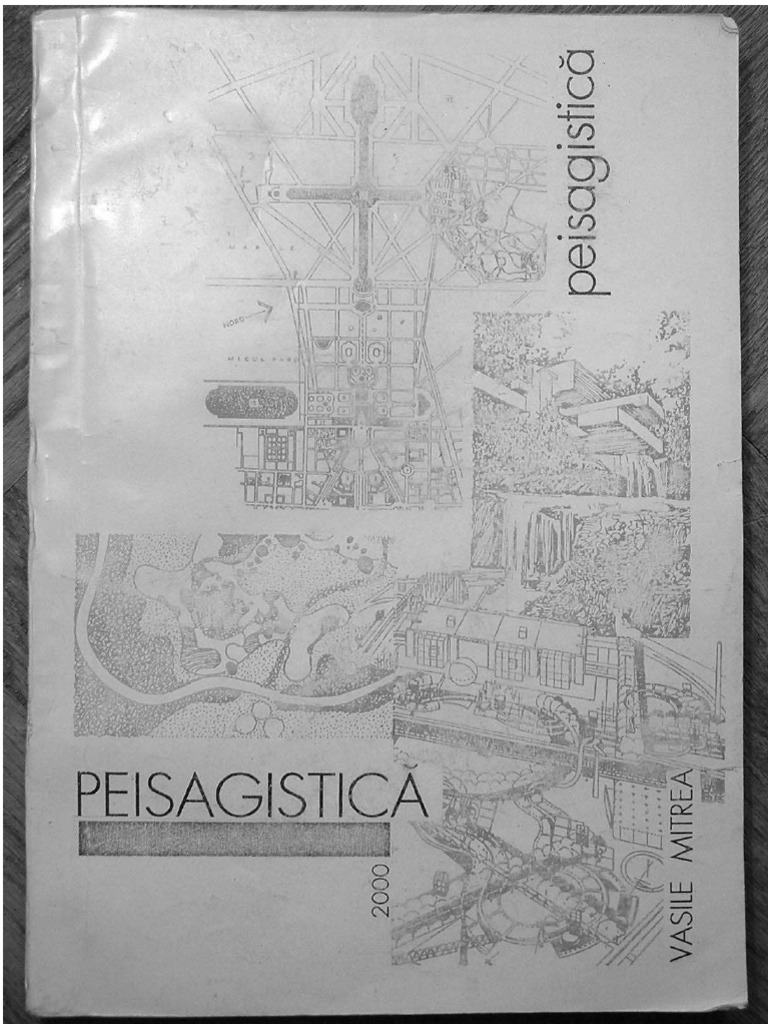 Pei Sagi Stica | PDF