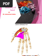 Thenar and Hypothenar Muscles Overview | PDF | Thumb | Hand