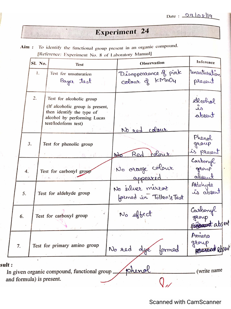 Organic (Functional Group) | PDF