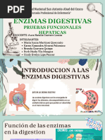 FRUTENZIMA: Usos y Beneficios Clínicos | PDF | Páncreas | Órgano (anatomía)