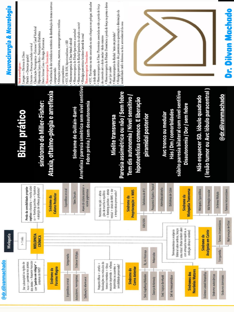 Dr DILVAN mielopatia dicas práticas | PDF