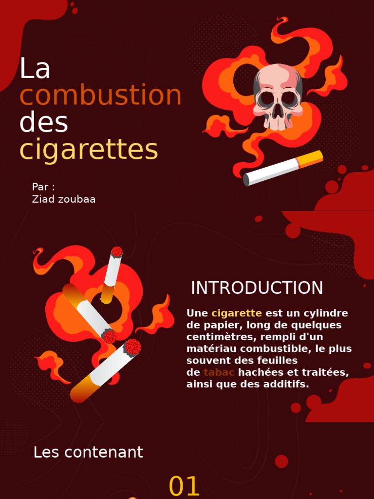 Combustion et dangers des cigarettes | PDF