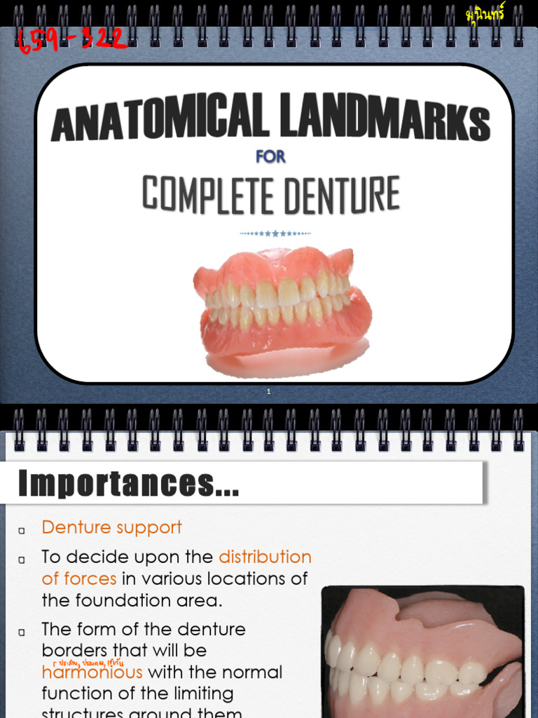 Anatomical Landmark_2019 BT | PDF