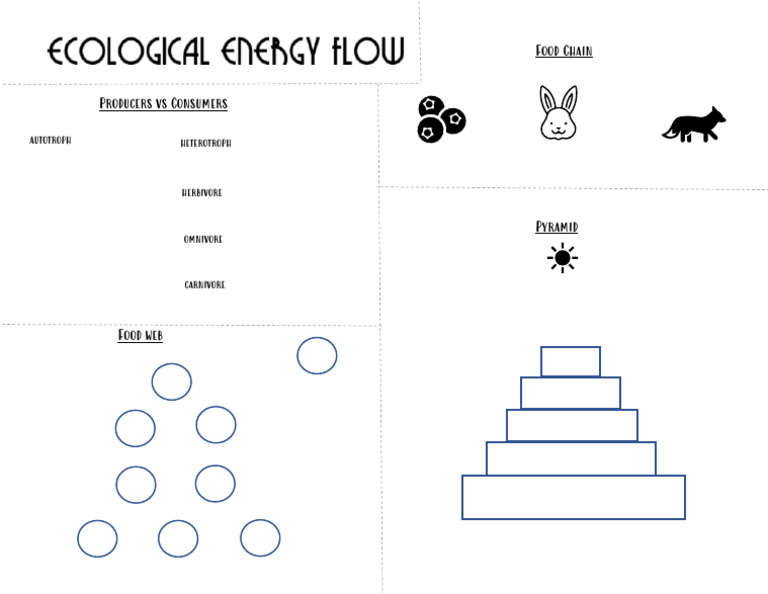 03b Eco Energy Flow Notes Template | PDF
