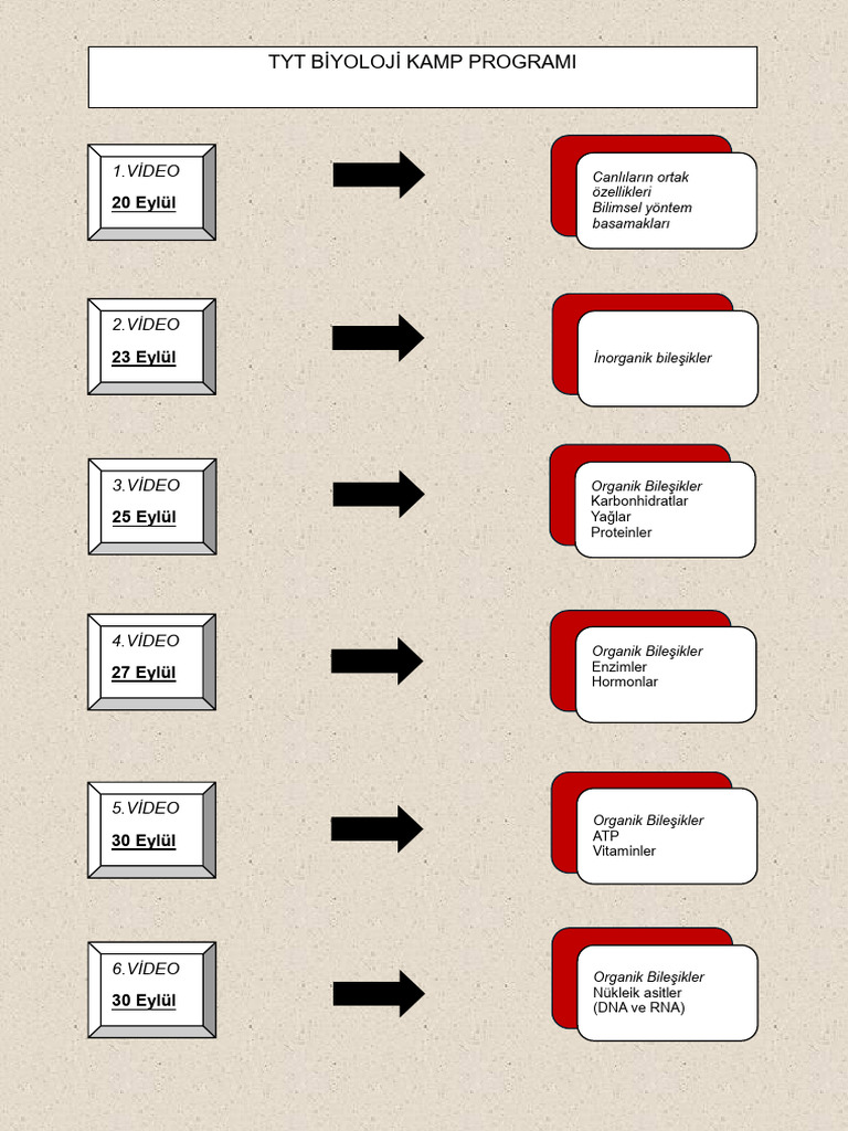 Tyt Bi̇yoloji̇ Kamp Programi | PDF