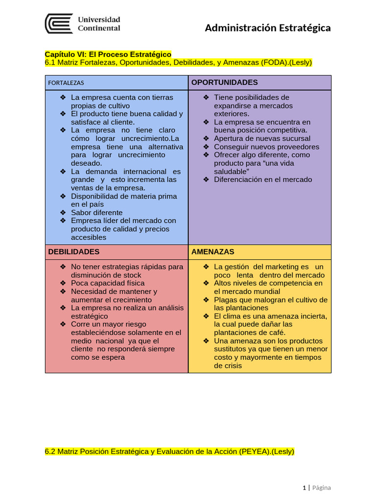 Pa3 - Grupo #06 Administracion Estrategica | PDF | Marketing | Gestión estratégica