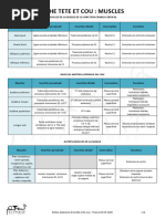 Anatomie du Muscle Sterno-Cléido-Mastoïdien | PDF | Cou | Artère ...