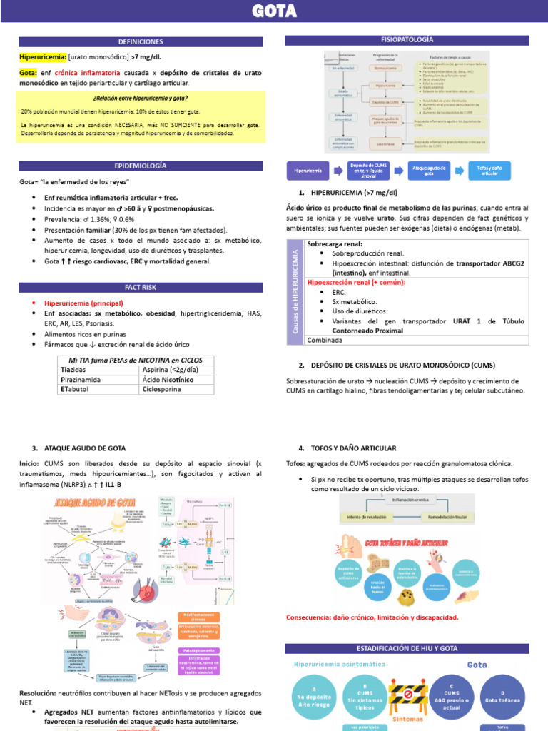 GOTA | PDF | Gota | Desordenes metabólicos