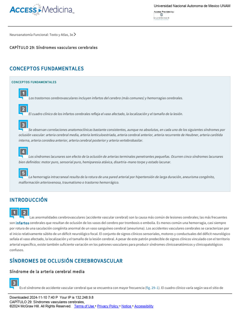 CAPÍTULO 29 - Síndromes Vasculares Cerebrales | PDF | Carrera | Sistema nervioso