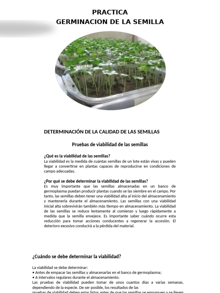 Germinacion de La Semilla | PDF | Germinación | Semilla