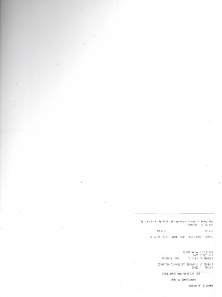 Escáner_20250102 (2) | PDF