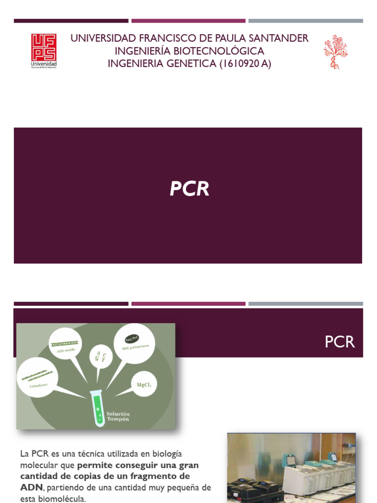 Técnica PCR en Biología Molecular | PDF | Reacción en cadena de la ...