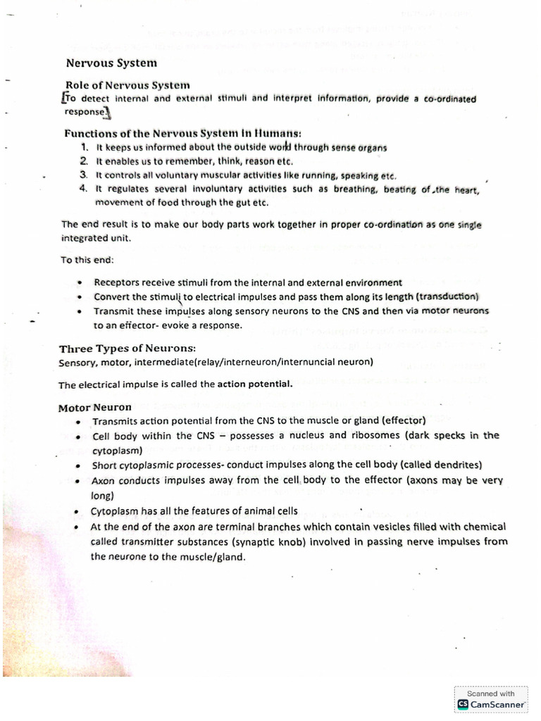 Nervous and Hormonal Control Notes Part | PDF