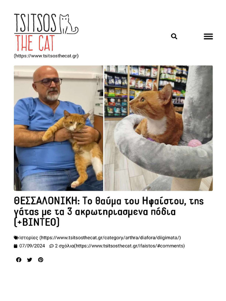 Θεσσαλονίκη, Ήφαιστος, γάτα 3 ακρωτηριασμενα - Tsitsos The Cat | PDF