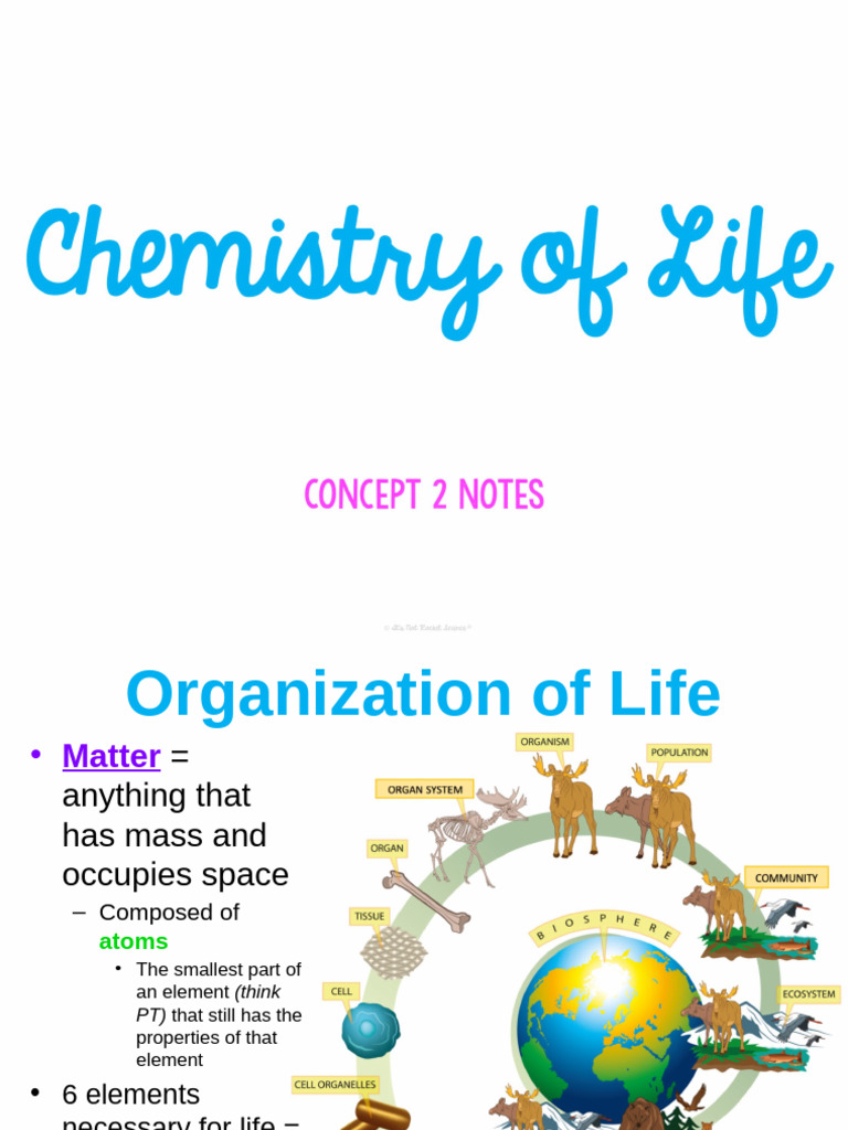 Concept 2 Notes - Chemistry of Life | PDF | Water | Molecules