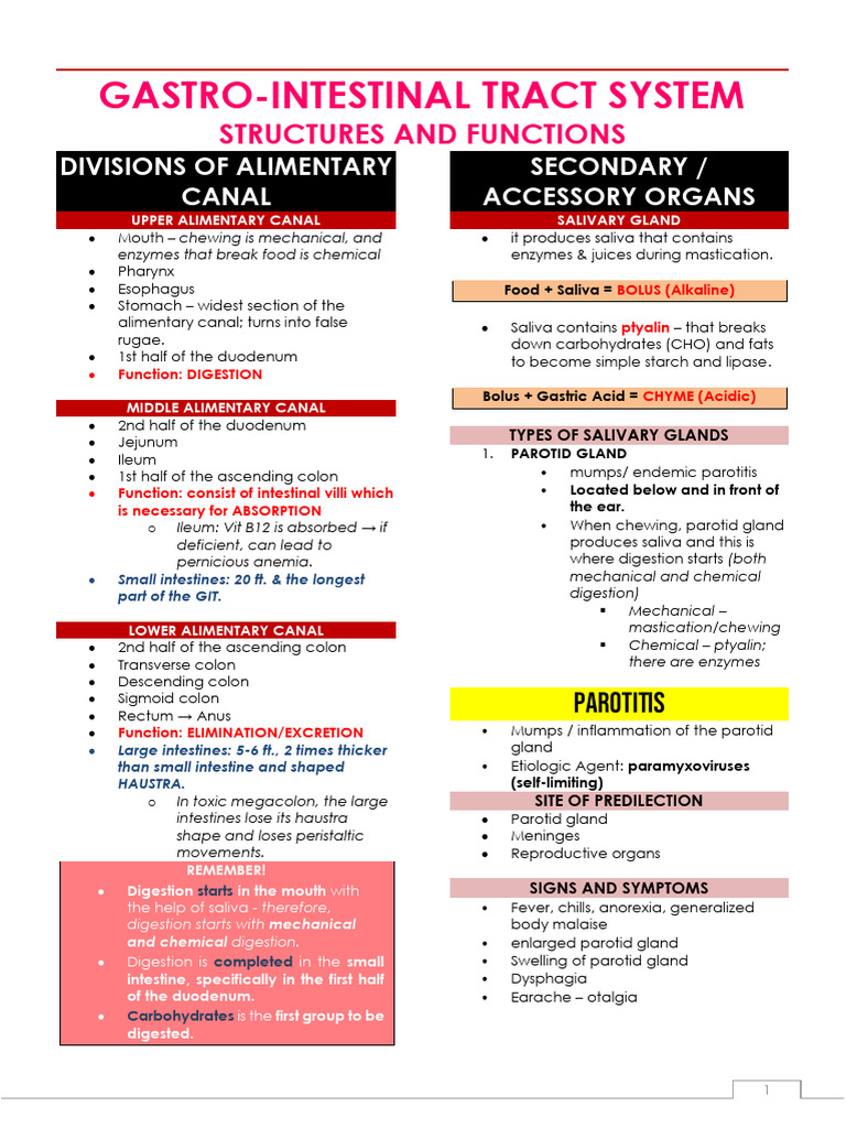 MS GIT | PDF | Pancreas | Gastroesophageal Reflux Disease