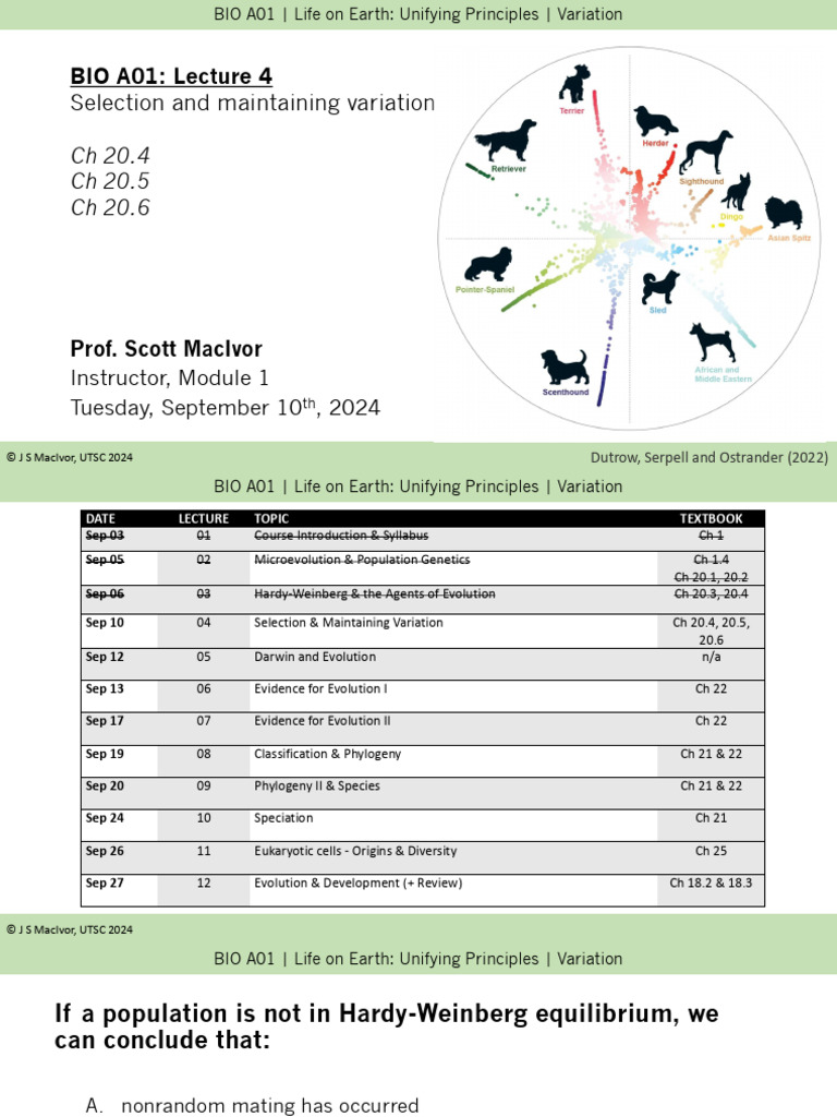 BIOA01 Lect04 Variation F2024 Final | PDF | Natural Selection | Malaria