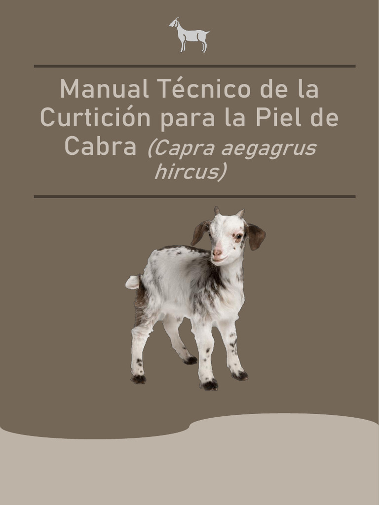 DE GUIA de Cabra | PDF | Bronceado | Cuero