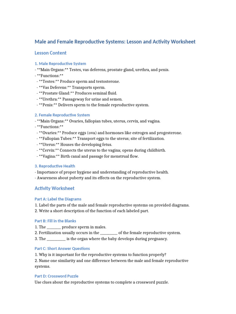 Male and Female Reproductive Systems Worksheet | PDF