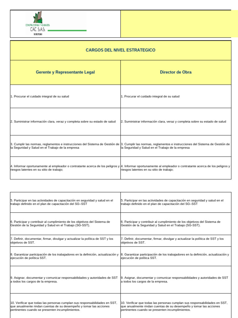 Roles y respon SST - revisado (1) ok | PDF | Auditoría | Business