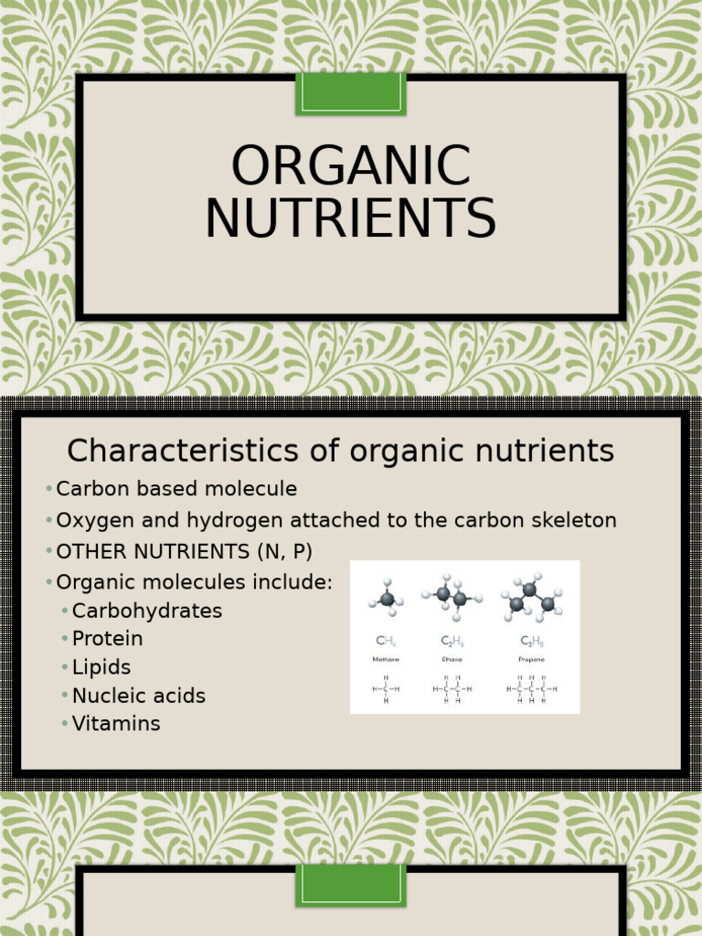 Organic Nutrients 2024 10b00ed78315 | PDF | Carbohydrates | Fat