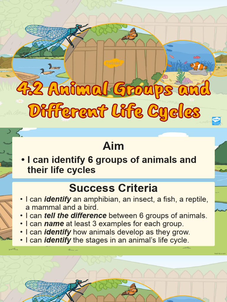 S2 - W21 - U4.2 Animal Groups and Different Life Cycles | PDF ...