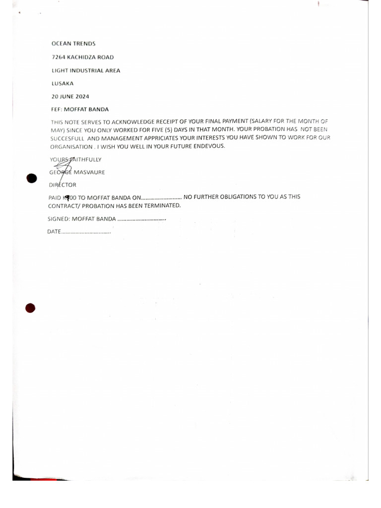 ACE Scanner_2024_07_29 | PDF